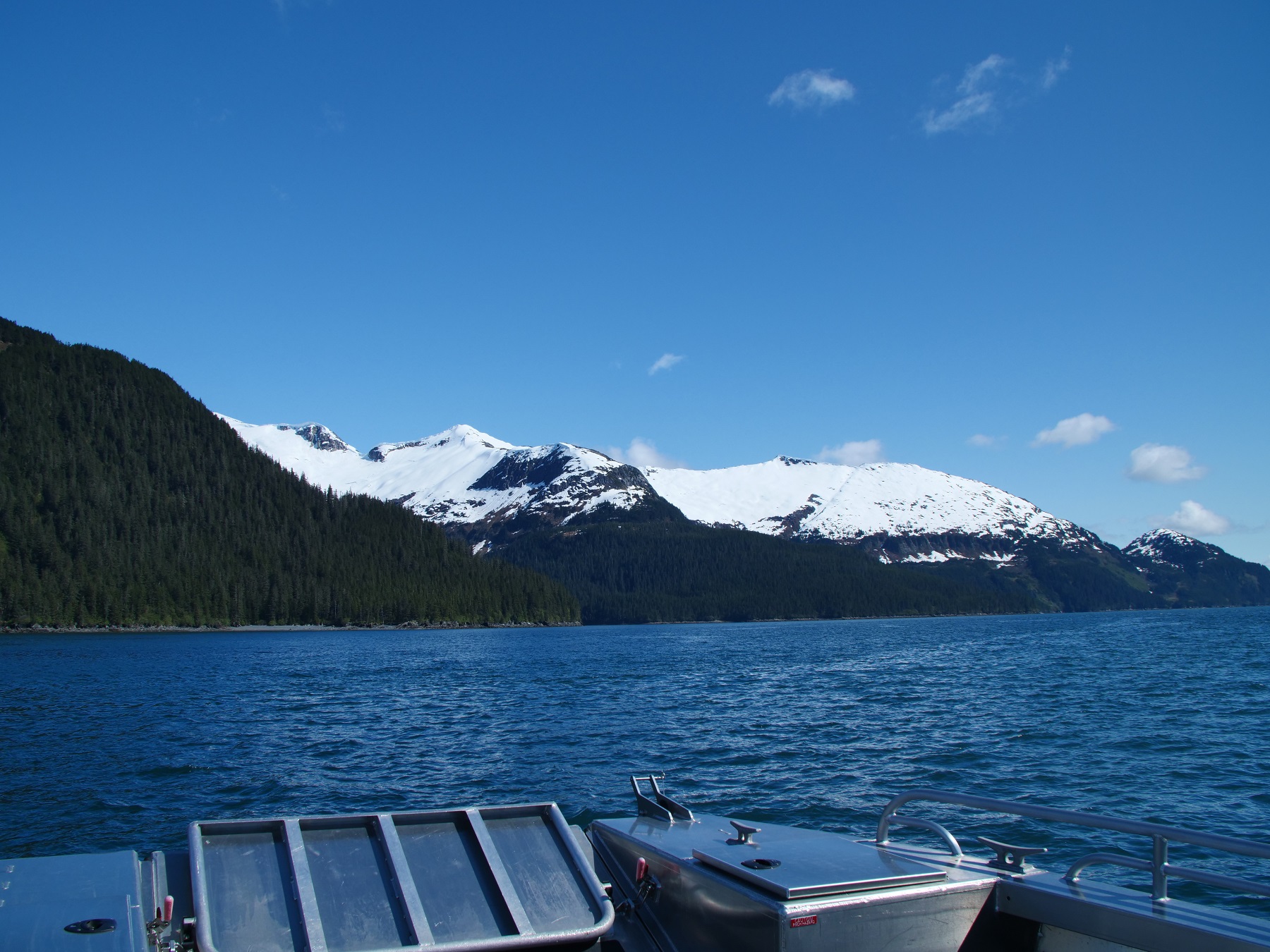 Sea Kayaking - Exposure Alaska | Prince William Sound
