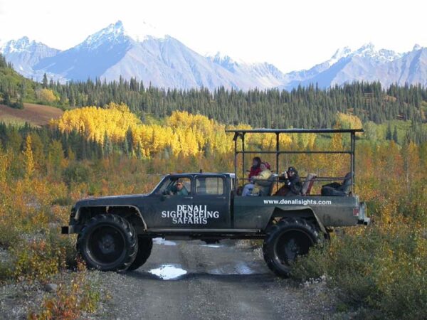 Family and Private Adventures - Exposure Alaska - Custom Adventures